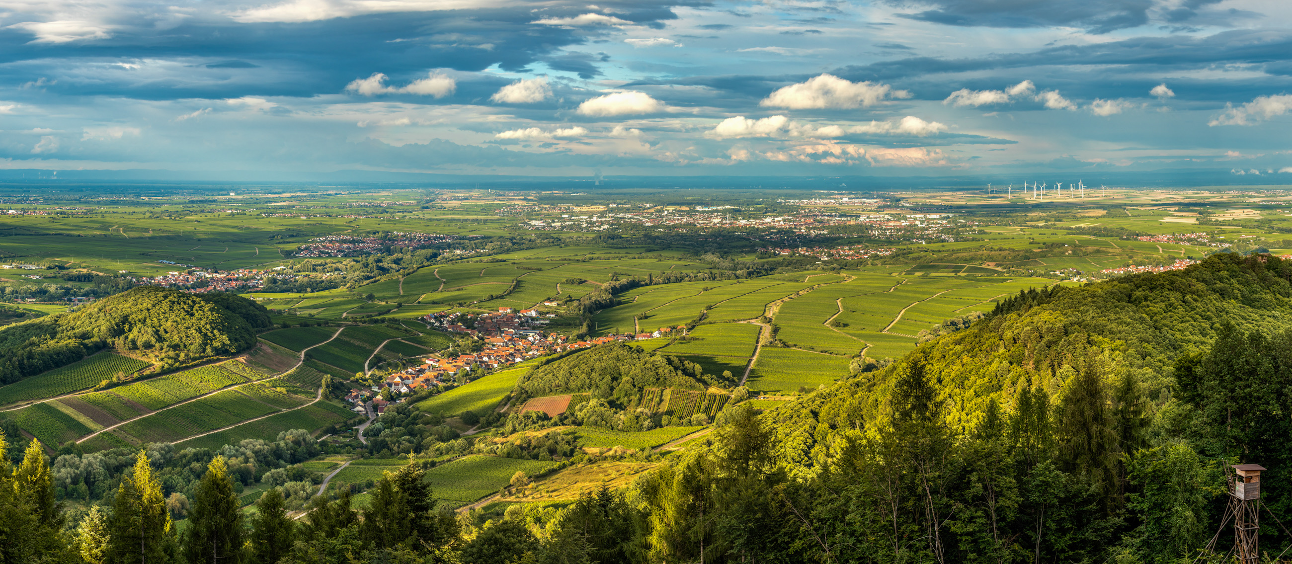 Startseite | Pfalz.de